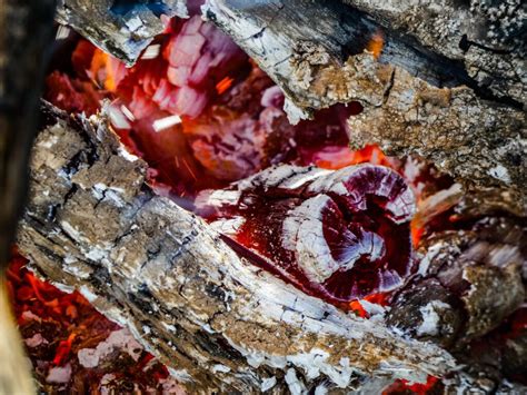 Q Learning Algorithm From Explanation To Implementation Towards Data Science