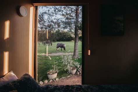 True Colours Tiny House Recommended Accommodation In New South Wales