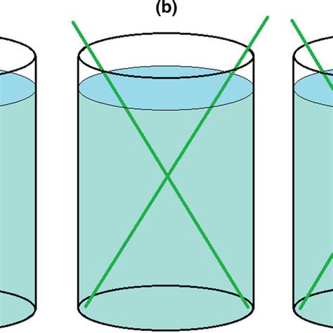 Illustration Of Habitat Complexity Treatments Showing A Zero B