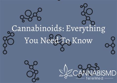 Cannabinoids Everything You Need To Know — Cannabismd Telemed