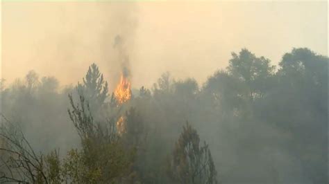 Пожар се шири во липковско пожарот во Волково ставен под контрола Youtube