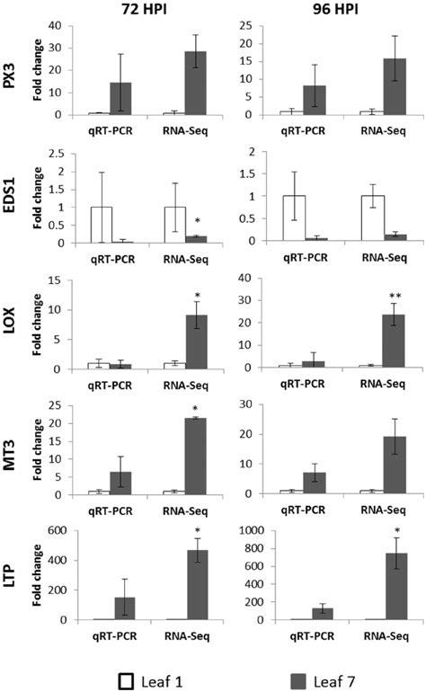 Quantitative Reverse Transcription Real Time Pcr Qrt Pcr Validation Download Scientific
