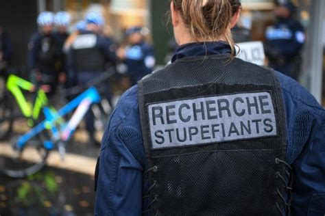 Les Policiers De Seine Saint Denis Saisissent 250 Kg De Cannabis Et Des