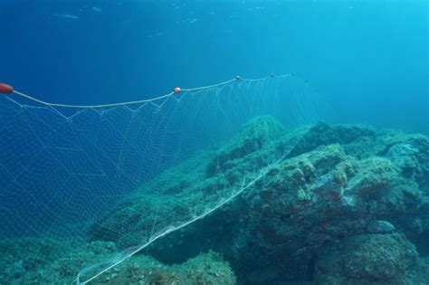 What Is A Gill Net