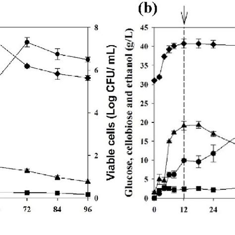 Ethanol Production During Fed Batch Ssf Process At 20 Wv Solids Download Scientific Diagram