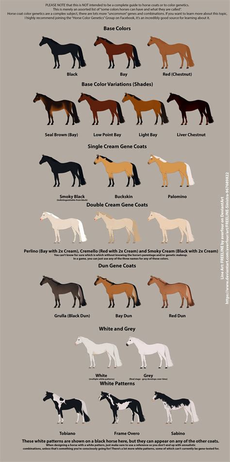 Horse Color Breeding Chart Akhal Teke The Golden Horse Prized For
