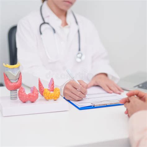 Elderly Patient Consulting And Diagnosis With Doctor To Thyroid Disease Anatomy Thyroid Model