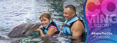 Dolphin Discovery Grand Cayman West Bay