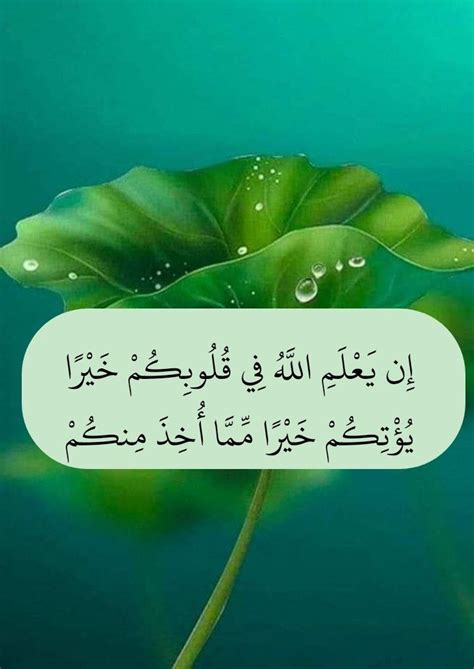 Inspiring Arabic Quote Allah Knows What Is Best For You