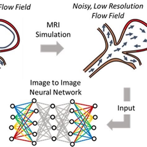 Method Overview Computational Fluid Dynamics Cfd Data Was Used To Download Scientific