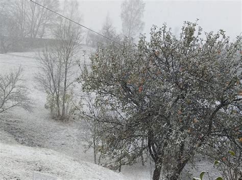FOTO Peisaj de iarnă în nordul județului S a așternut primul strat de zăpadă din acest sezon
