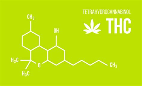 녹색 배경에 Thc 분자 구조 그림 테트라하이드로칸나비놀 화학 대마초 공식 벡터 Thc에 대한 스톡 벡터 아트 및 기타 이미지