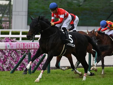 【大阪―ハンブルクc結果】レッドバリエンテが抜け出しオープン初勝利 競馬ニュース Netkeiba