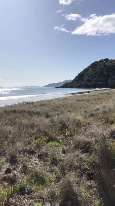 Video Daniel Klinkenberg On Linkedin If Youre Spending Time In The Coromandel These School