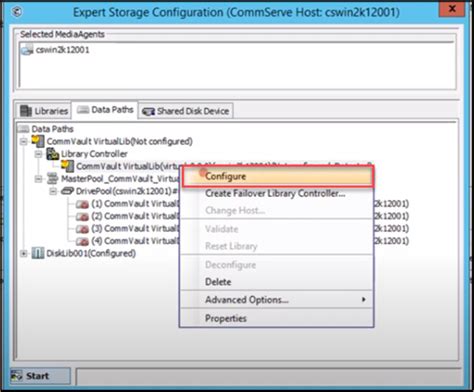 Configure The New Vtl On The Commvault Mediaagent Server Dell Powerprotect Dd Series