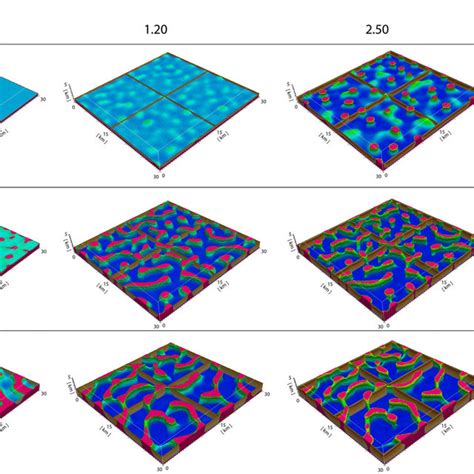 3 D Perspective Views Of Time Evolution Of Three Simulations With Same