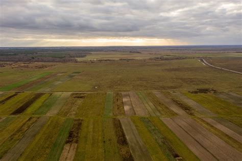 На Вінниччині селяни вимагають гроші у фермера за паї