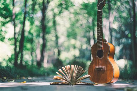 Hình Ảnh Đàn Guitar Sắc Màu Âm Nhạc Và Nghệ Thuật