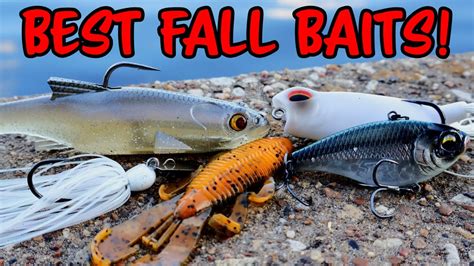 Best Baits For Fall Bass Fishing Ponds And Lakes Youtube