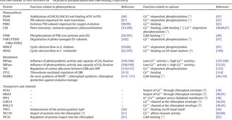 Table 1 From Calcium Dependent Regulation Of Photosynthesis Semantic