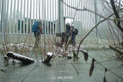 Польские силовики вновь попытались вытеснить беженцев через калитки для