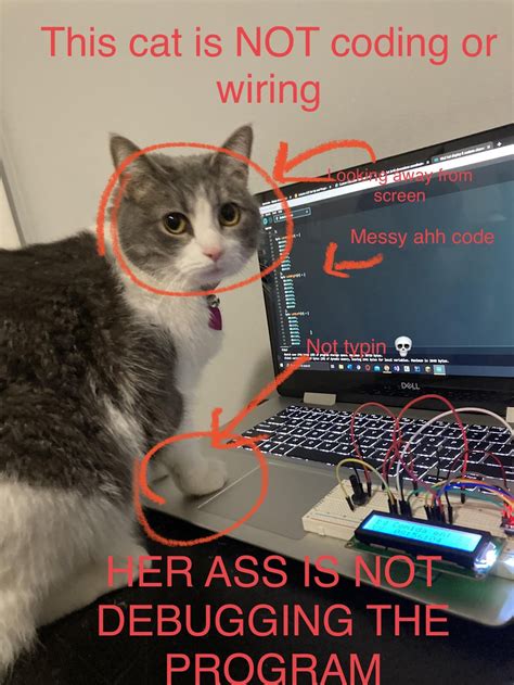 Arduino Memes
