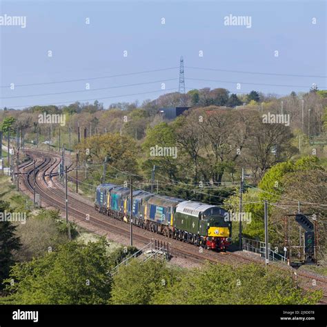 Preserved Class 40 Diesel Locomotive 40013 Andania Hauling 57004 37604 37609 37603 Along