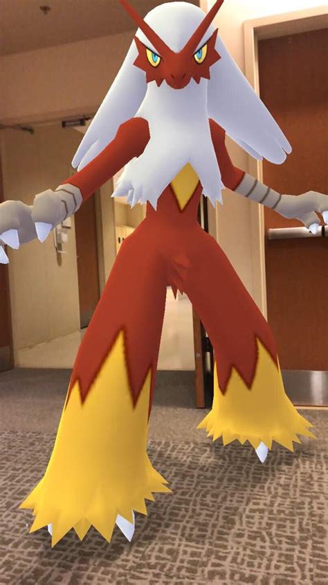 Shiny Blaziken Pokemon Go Amino