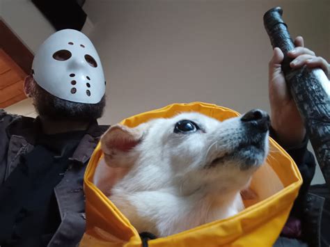 Happy Halloween Album On Imgur