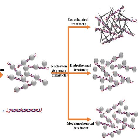 Fabrication And Growth Of Template Assisted Zno Nanostructures