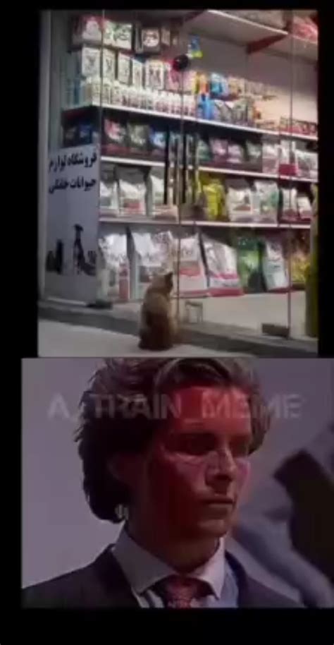 کیر تو زندگی🥲🥲 Rkalamarmy