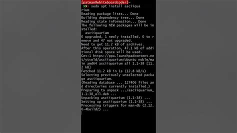 Linux Asciiquarium Coding Linux Linuxtutorials