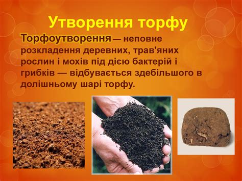 Презентація Торф і камяне вугілля