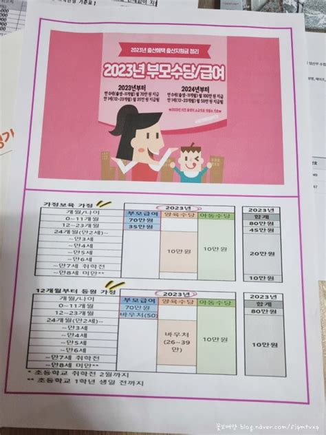 내가 신청할려고 만든 임산부 혜택 바우처 보건소 외 네이버 블로그