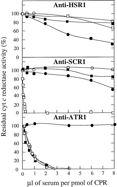 Immuno Inhibition Of Cyt C Reductase Activity Each Cpr 5 Pmol Was