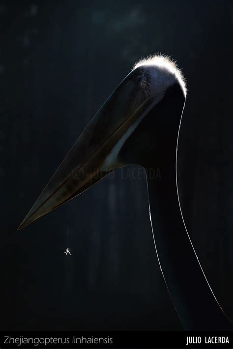 Zhen By Julio Lacerda On Deviantart