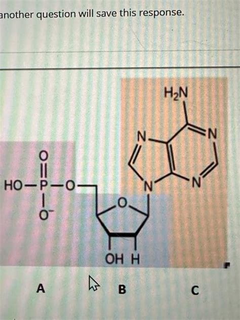 Solved Identify The Correct Name Of The Nucleotide Structure