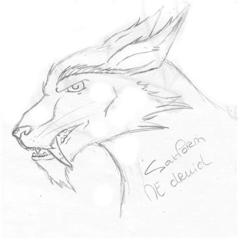Night Elf Druid Catform By Ireth Calafalas On Deviantart