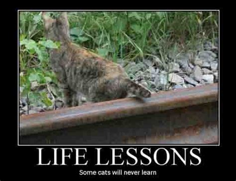 New Memes Funny Memes Jokes Life Lesson Quotes Life L