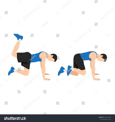 224 Donkey Shoe Images Stock Photos Vectors Shutterstock