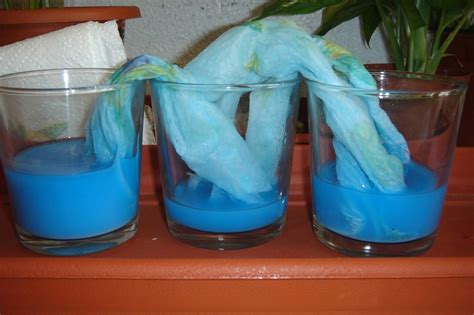 La Melodía De Colega Experimento 7 Los Vasos Comunicantes