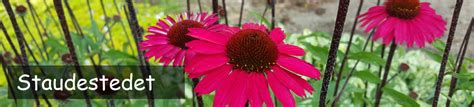 Lilla Stauder Staudestedet