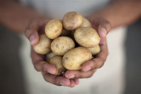 Are Potatoes Good For Weight Loss Popsugar Fitness Uk