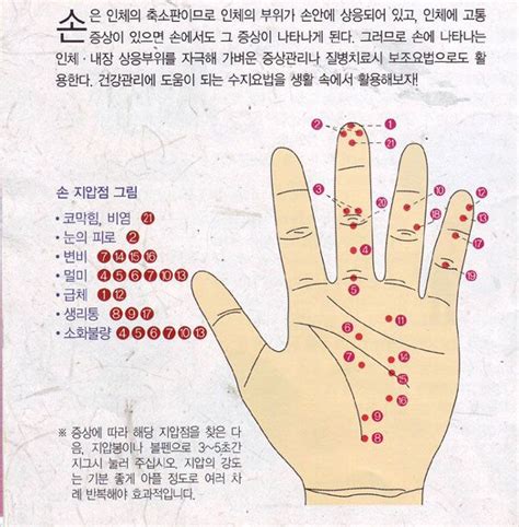 내손안에 의사있다 손지압 건강법 지압 아기 건강 손 치료