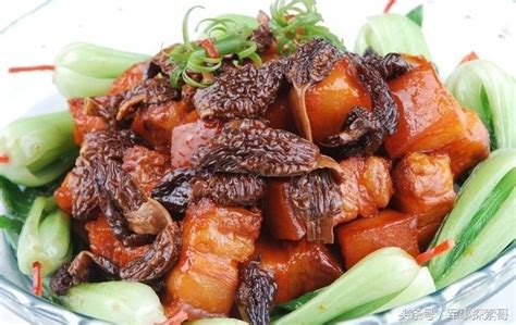 農村樹林裡的「素中之葷」，有營養能治病，功效多利潤大 每日頭條