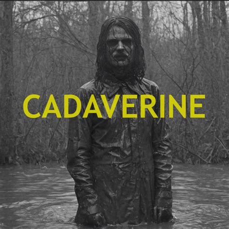 Cadaverine Album By Signifiers Spotify