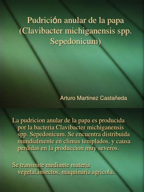 Clavibacter Spp Sepedonicum Pdf