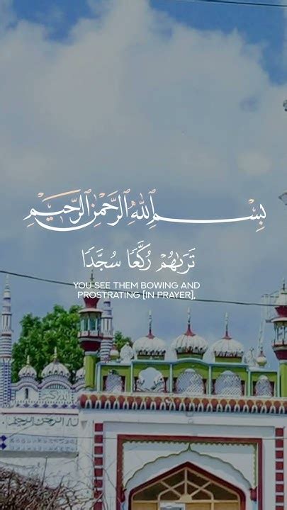 يَا أَيُّهَا الَّذِينَ آمَنُوا اتَّقُوا اللَّهَ وَكُونُوا مَعَ