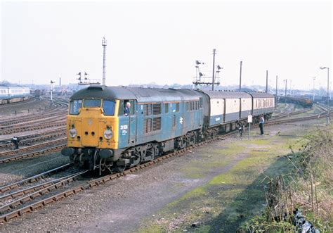 Steve Eames Collection 31004 To 31199