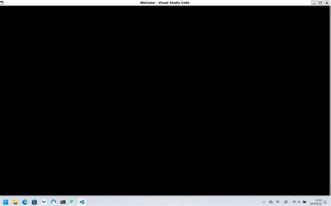 为什么一键安装的vscode无法正常打开，处于黑屏状态 鱼香ros